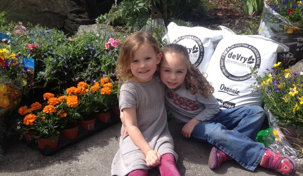 Lakeview Community Association